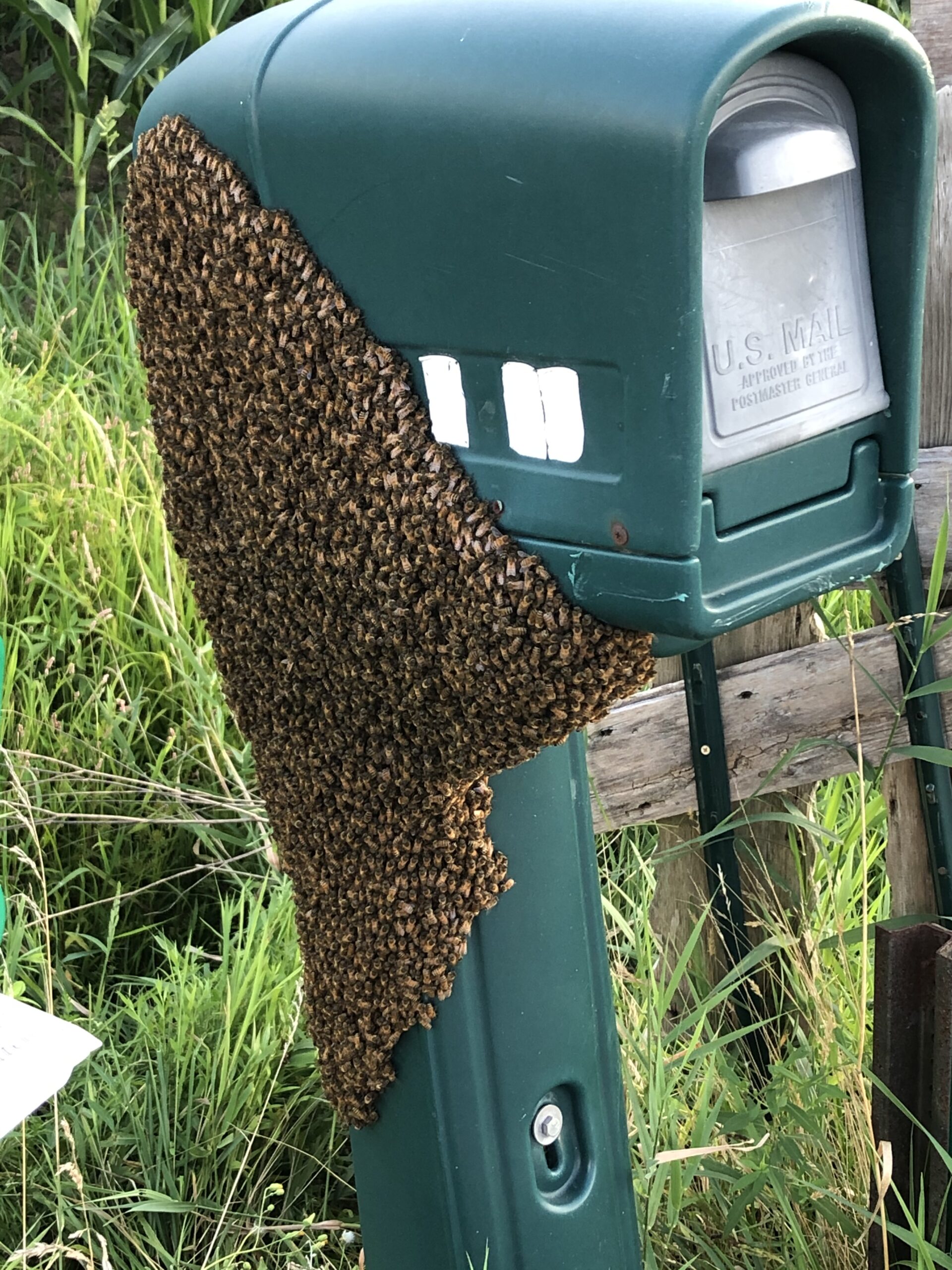Hatch's Honey – Couldn't Bee Sweeter